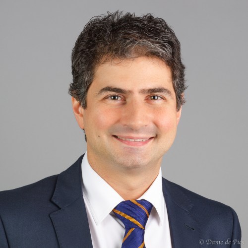 Michel Matar – Dame de Pics